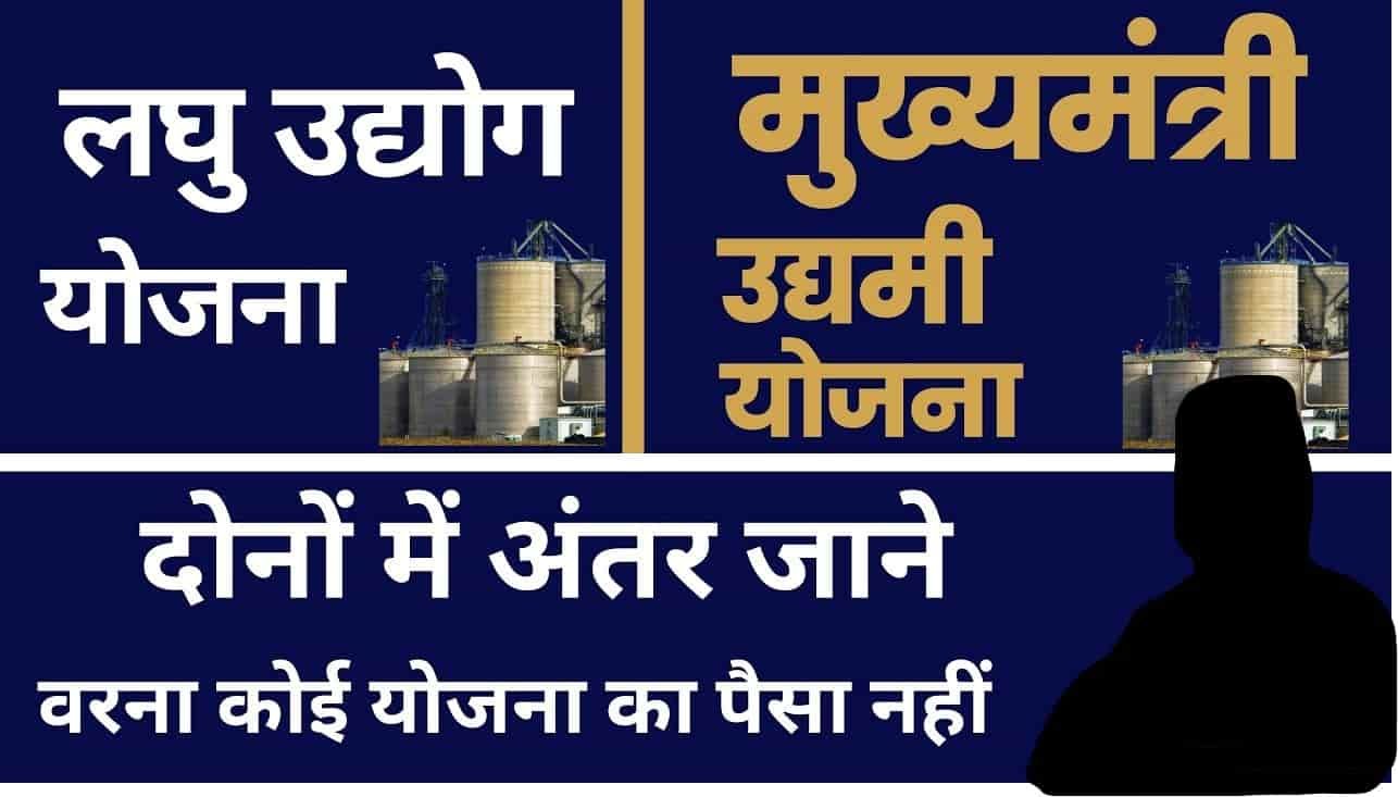 Udyami Yojana & Laghu Udyami Yojana Me Kya Antar Hai